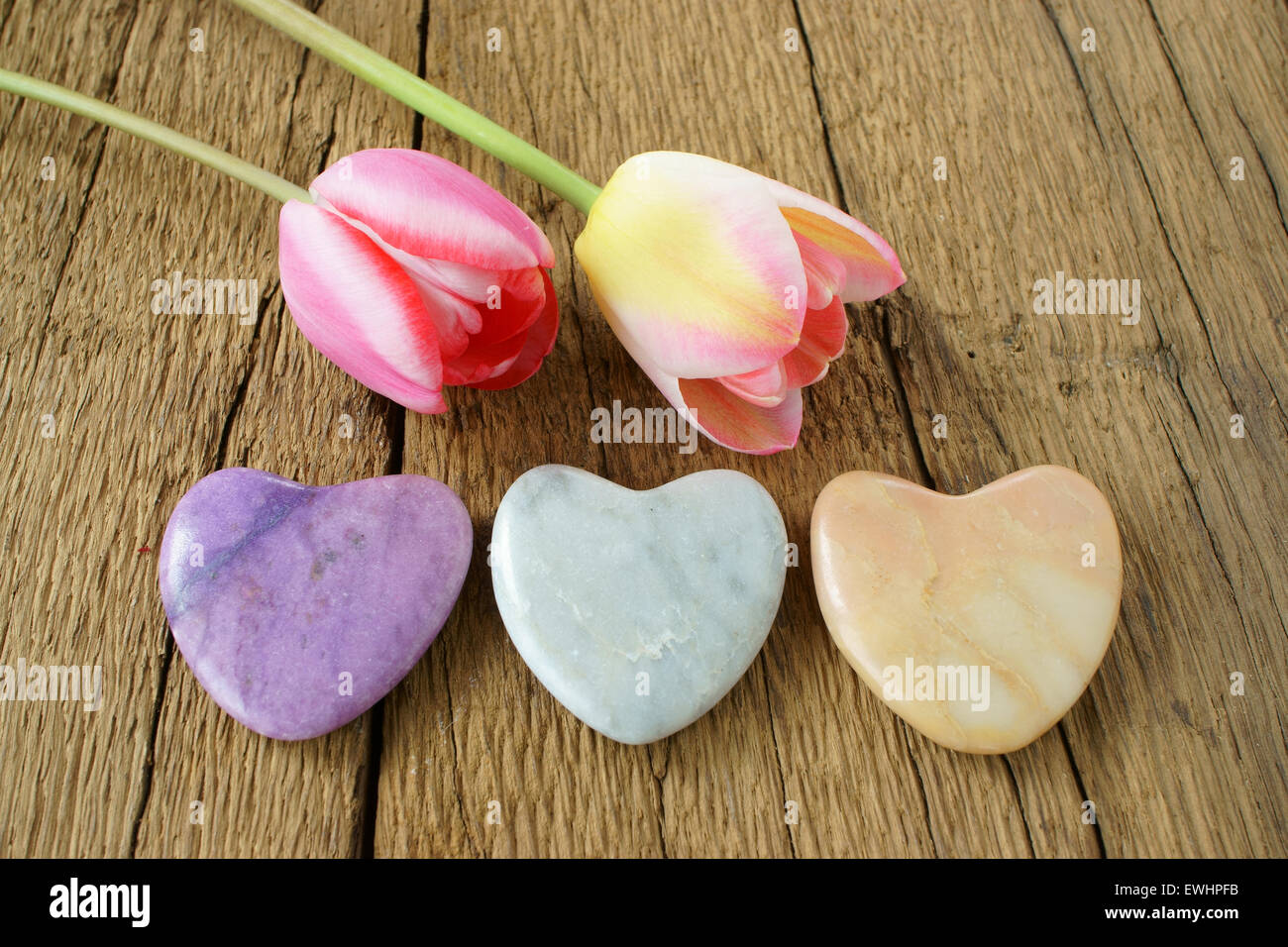 Three stone hearts and two tulips on a rustic wooden plank Stock Photo ...