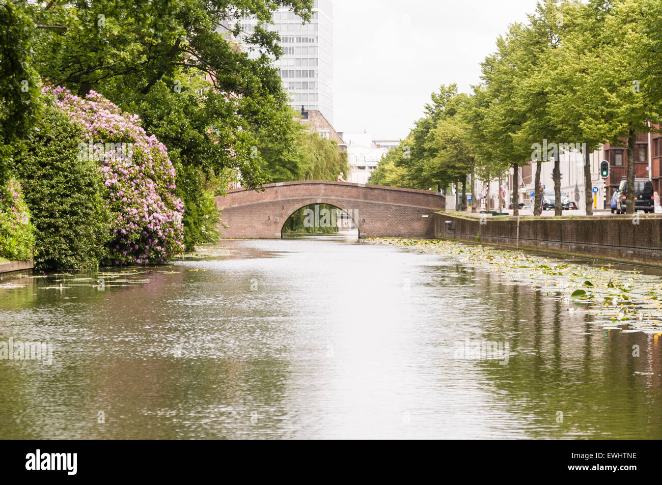 Canals in the hague hi-res stock photography and images - Alamy
