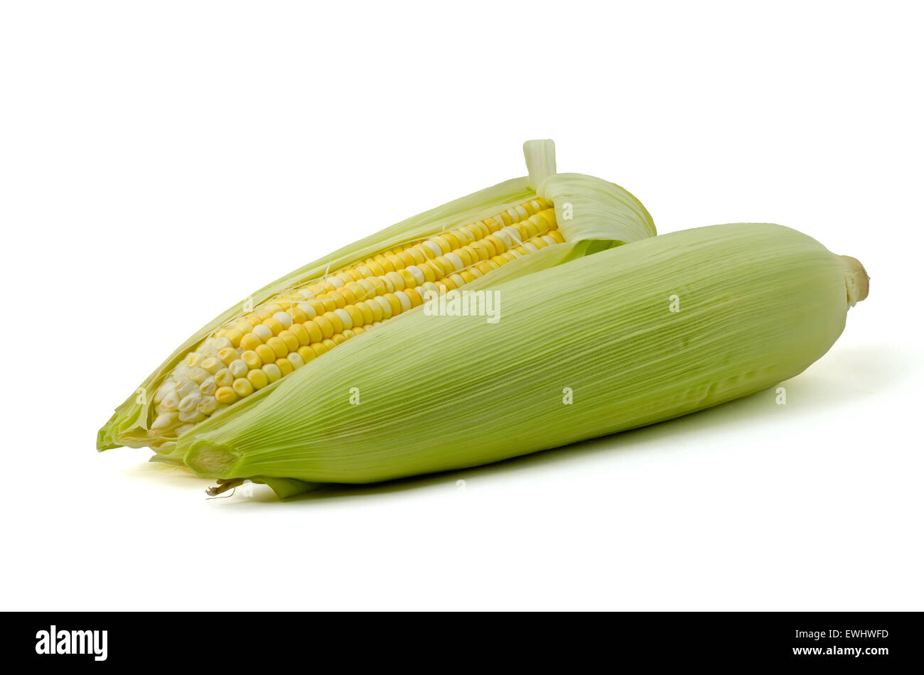 An ear of corn isolated on a white background Stock Photo - Alamy