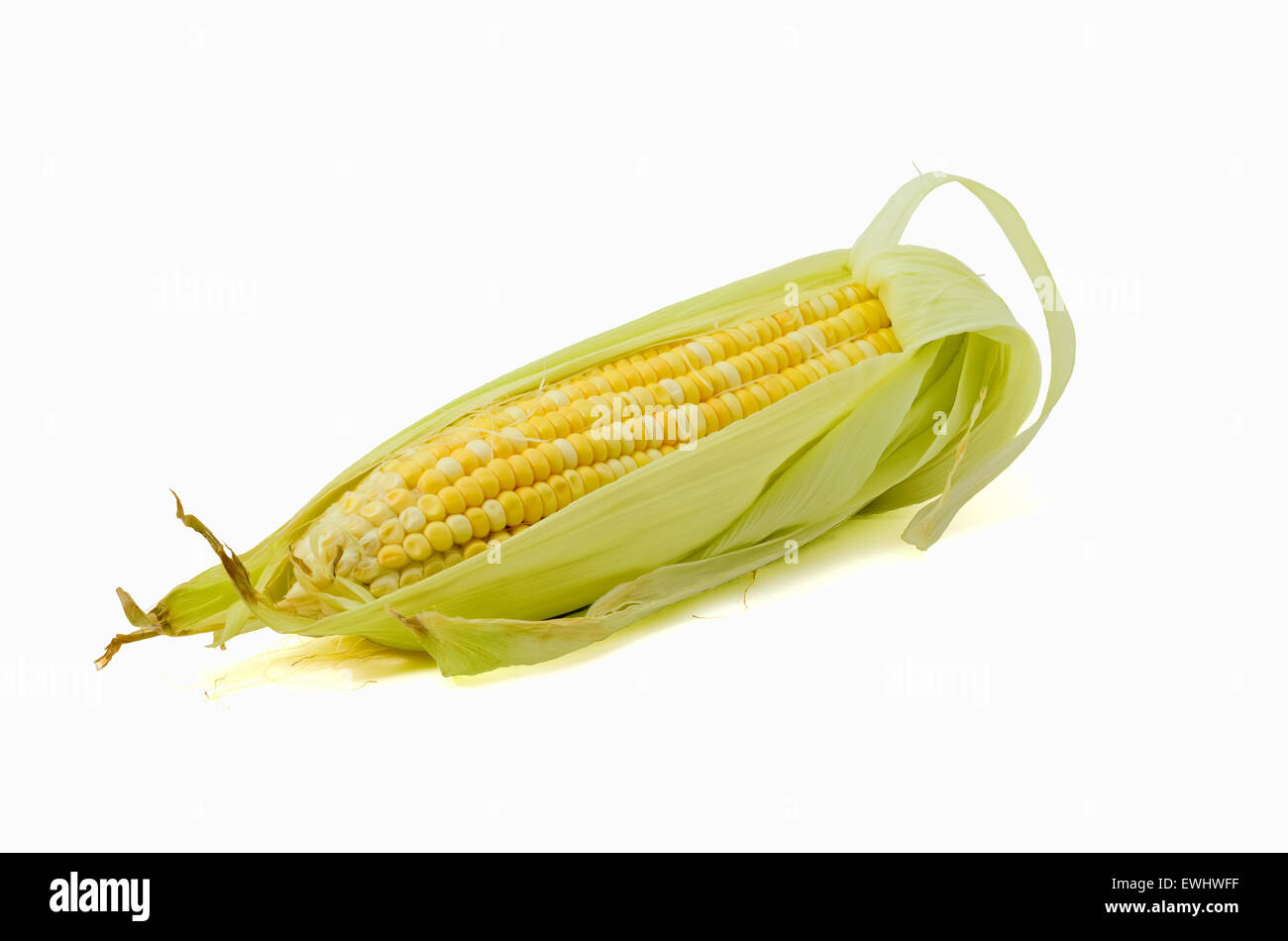 corn isolated on a white background Stock Photo - Alamy