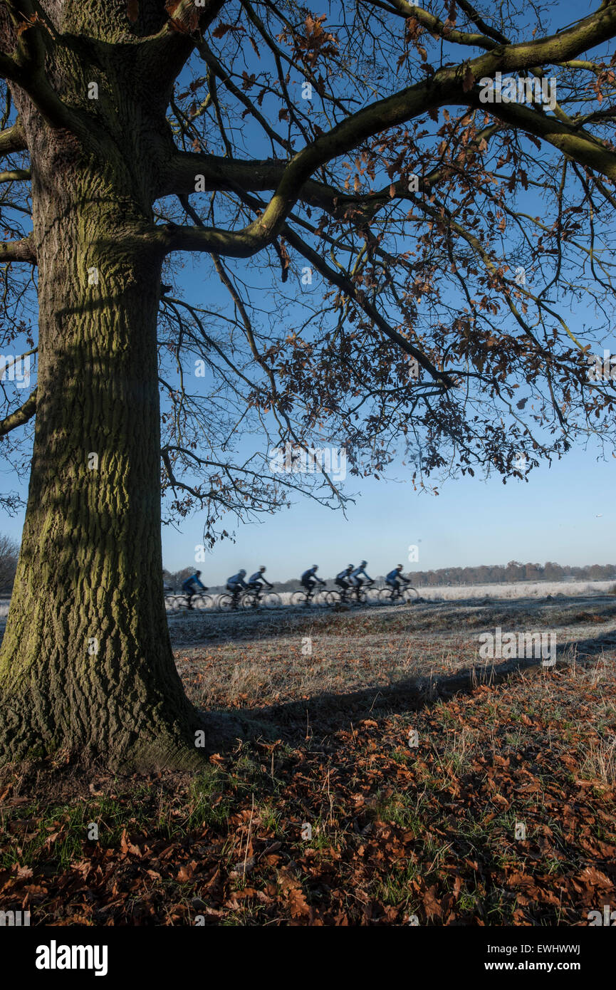 Cold cycle hi-res stock photography and images - Alamy