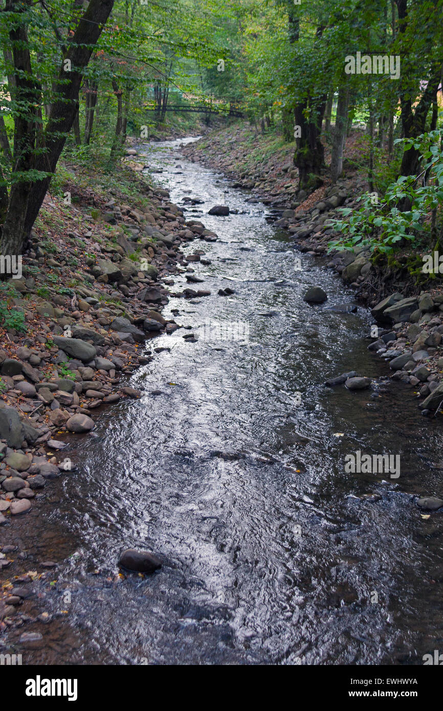 Stream closeup hi-res stock photography and images - Alamy