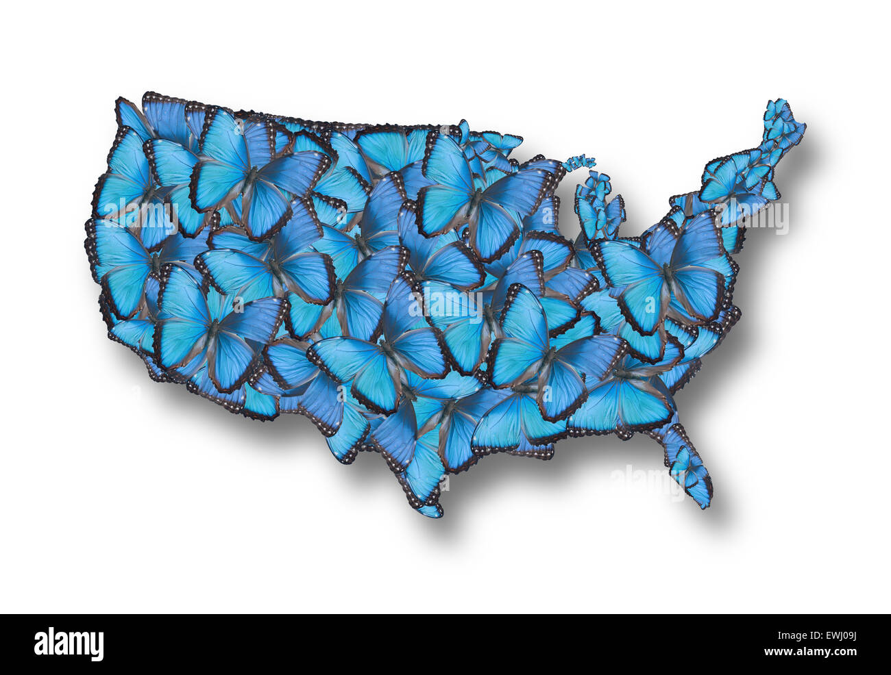 USA map of blue butterflies Stock Photo - Alamy