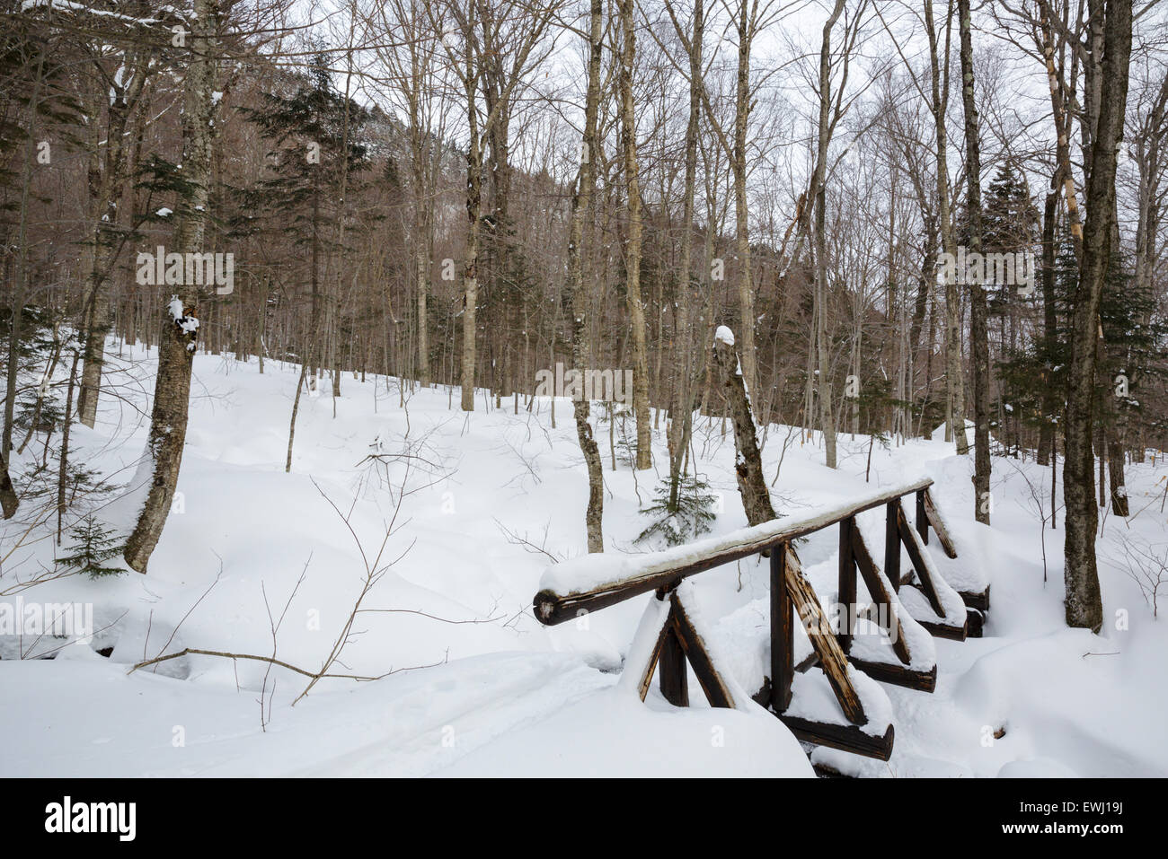 Foot bridge along the Appalachian Trail (Beaver Brook Trail) in Kinsman ...
