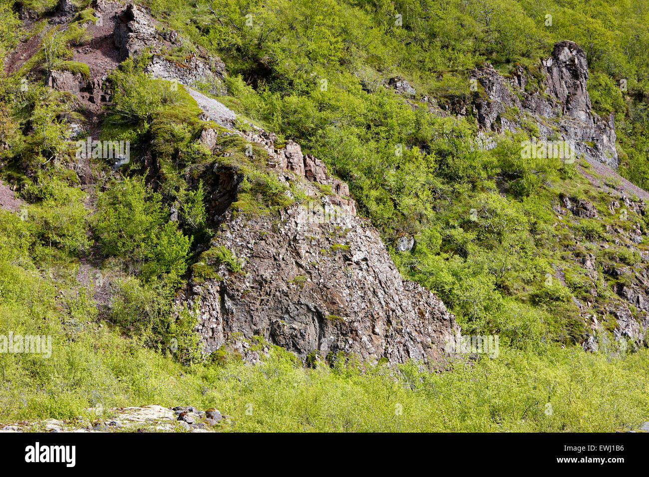 basalt dikes protruding from hillside Iceland Stock Photo - Alamy