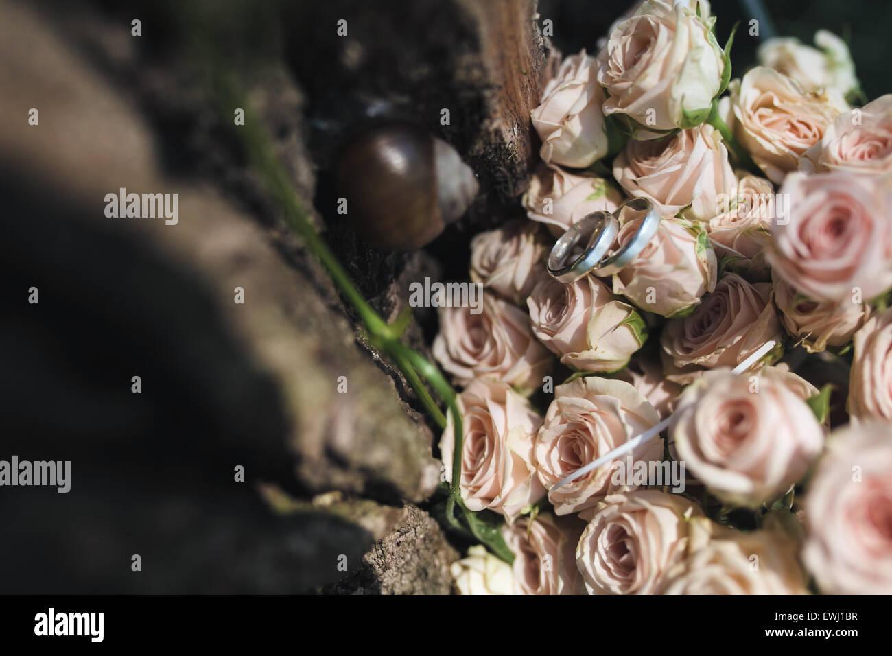 Weddings ideas hi-res stock photography and images - Alamy