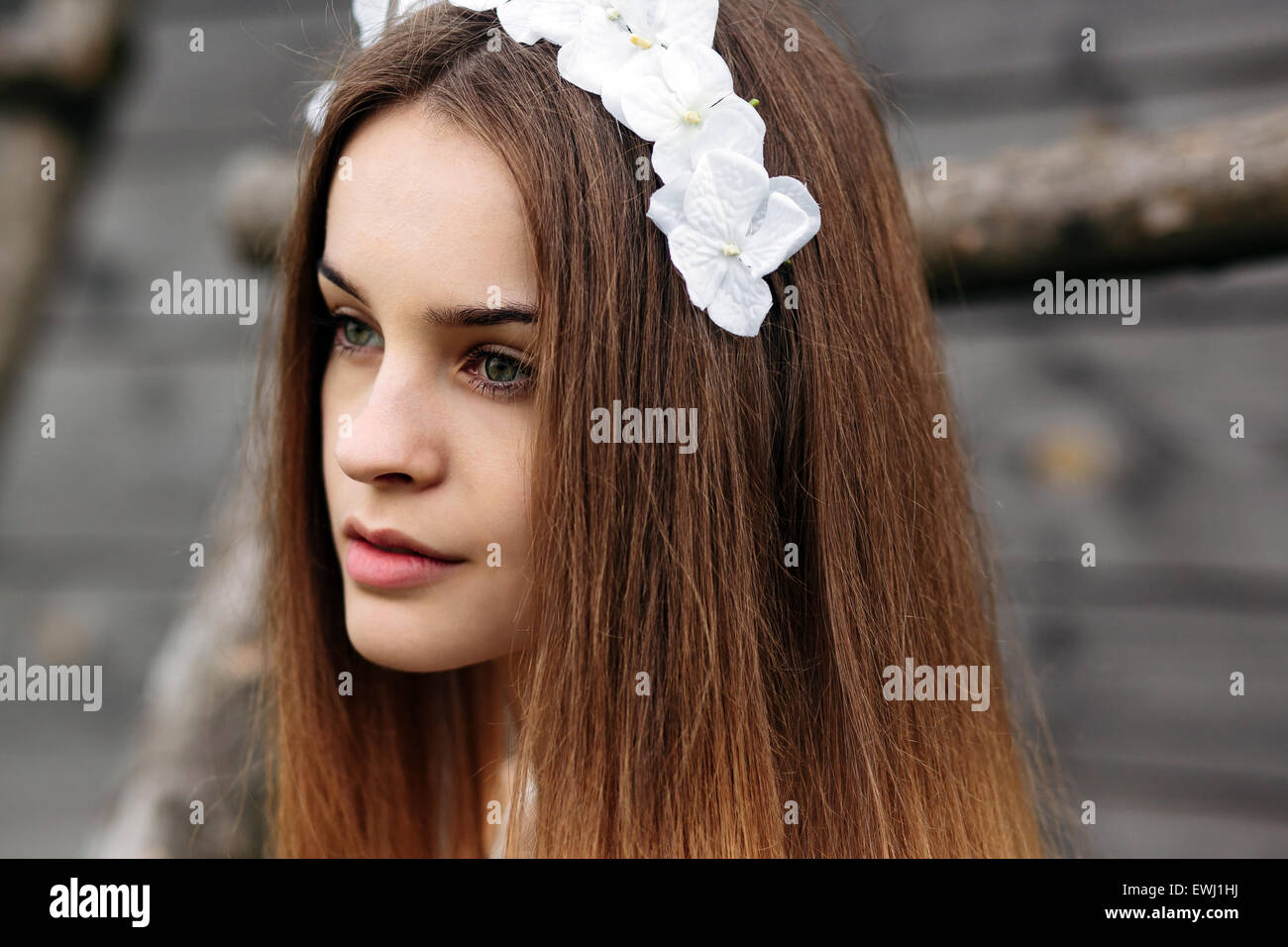 Girl climbing ladder into tree house Stock Photo - Alamy
