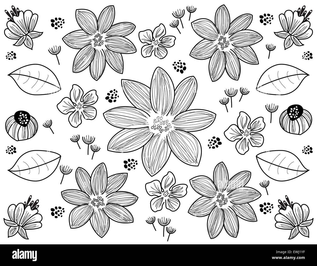 Will flowers Black and White Stock Photos & Images - Alamy