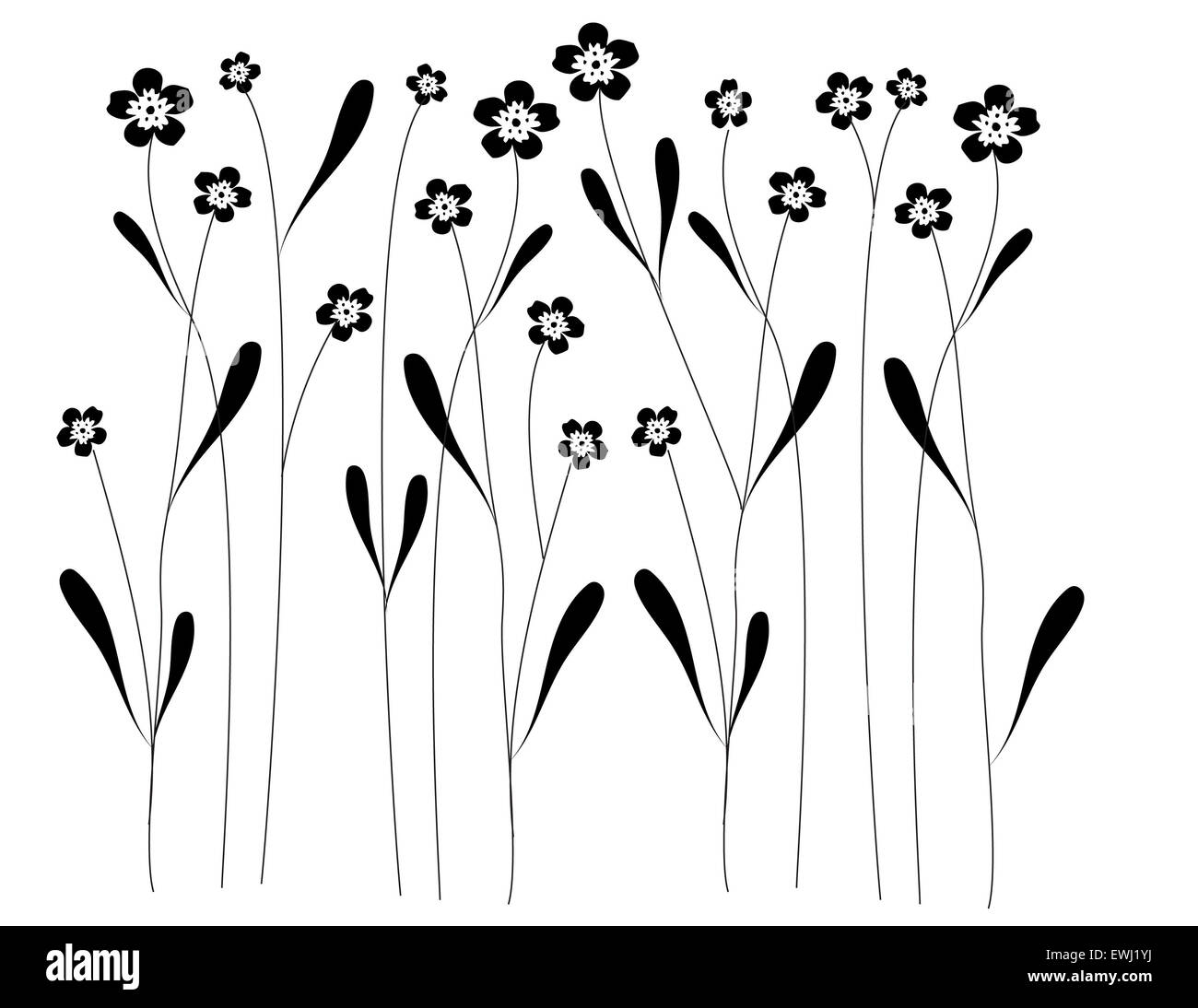 Digital illustration of wild flowers growing in a spring in black and ...