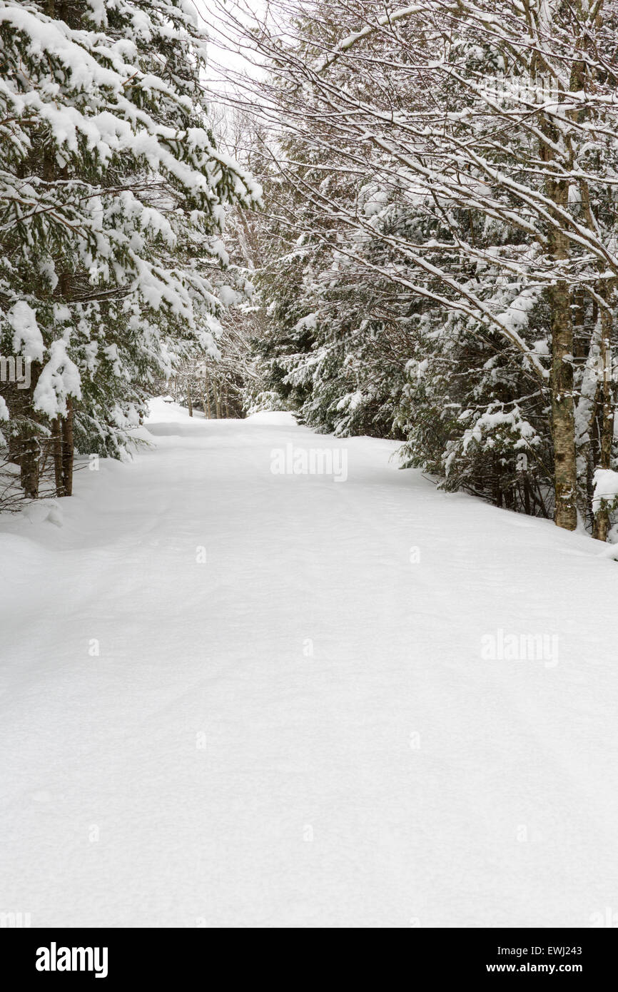Franconia Notch State Park - Scenic view along the Franconia Notch Bike ...