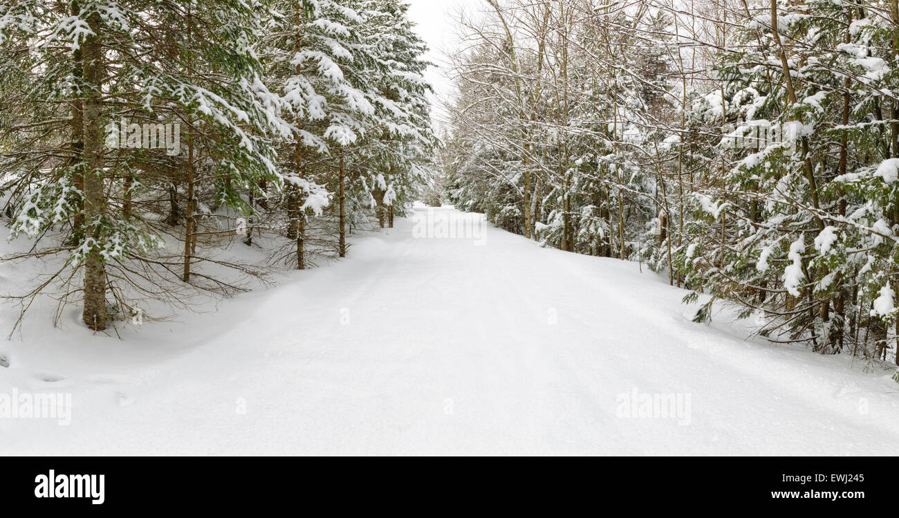 Franconia Notch State Park - Scenic view along the Franconia Notch Bike ...