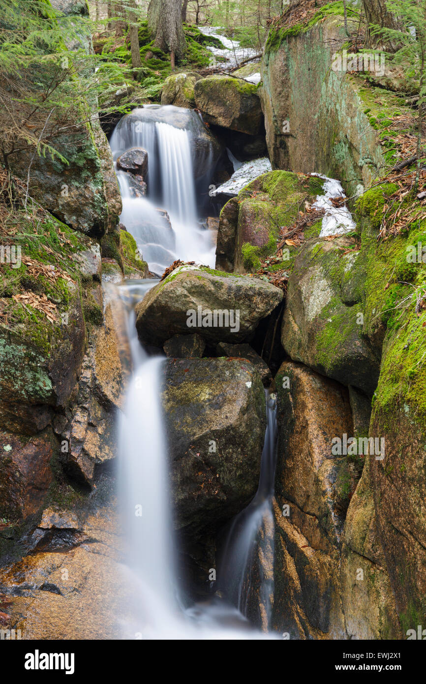Small gorge along Cascade Brook in the Flume Gorge Scenic Area in ...