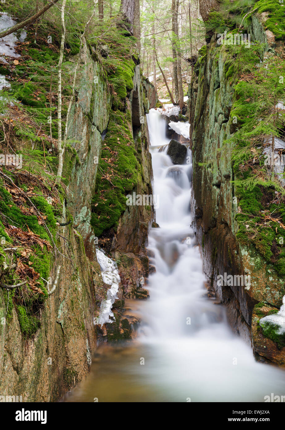 Small gorge along Cascade Brook in the Flume Gorge Scenic Area in ...
