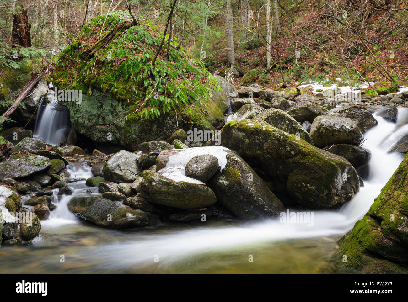 Black Brook Falls along Black Brook in Easton, New Hampshire USA during ...