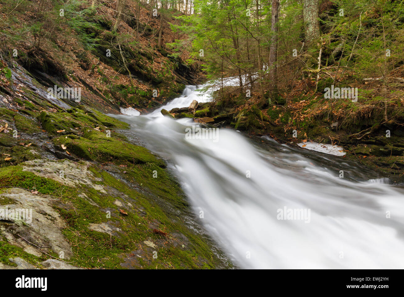 Blue Ravine Cascades, located along a tributary of the Wild Ammonoosuc ...