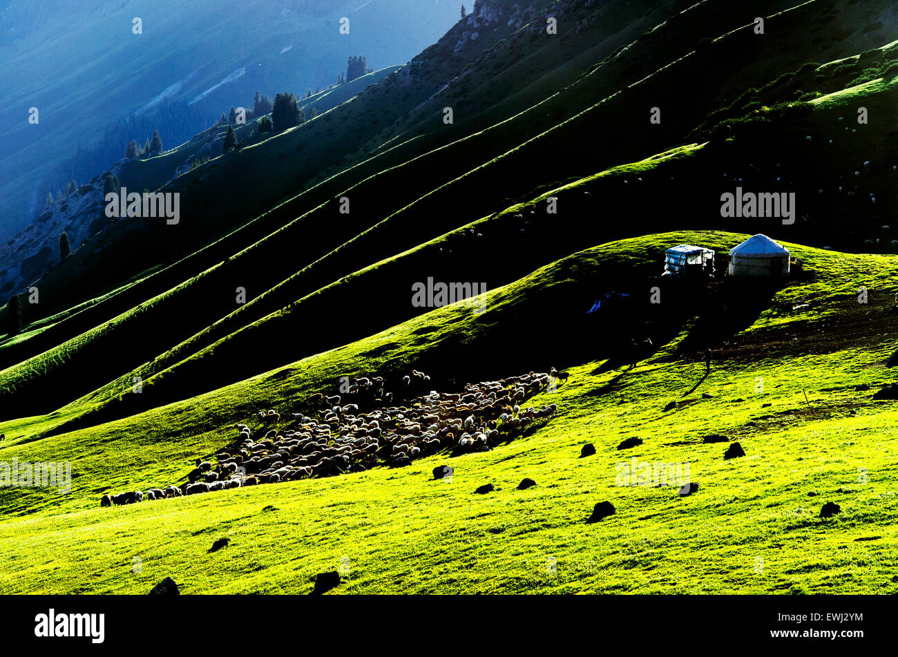 Kalajun Prairie High Resolution Stock Photography and Images - Alamy