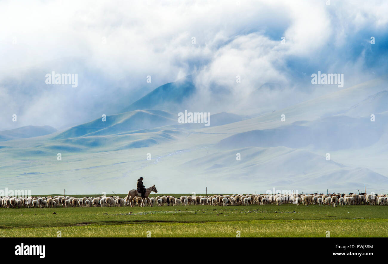 The landscape view of Bayanbulak Grasslands in Xinjiang Uyghur ...