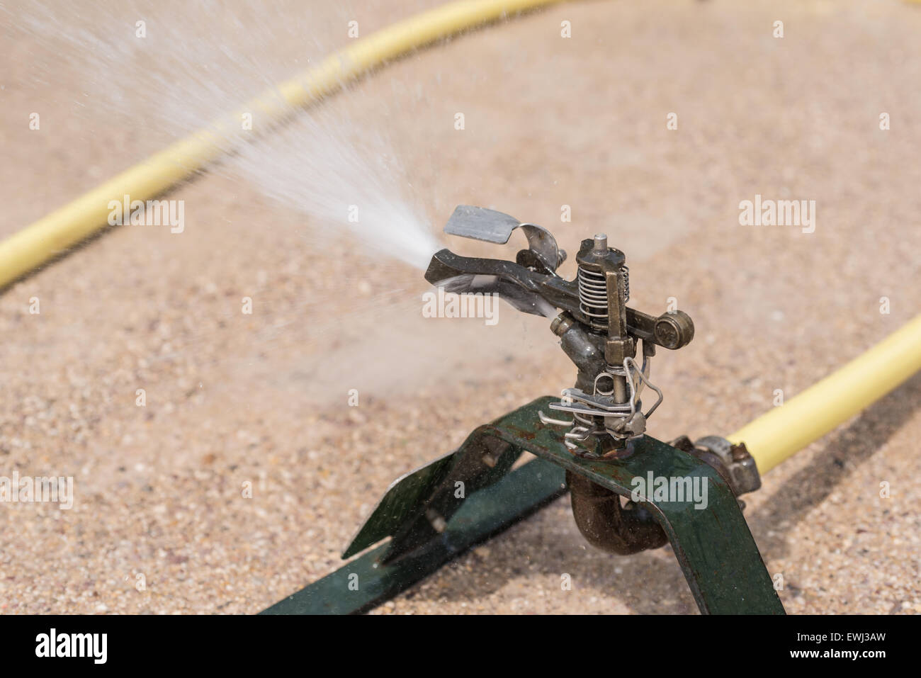 Garden sprinkler with yellow garden hose Stock Photo - Alamy