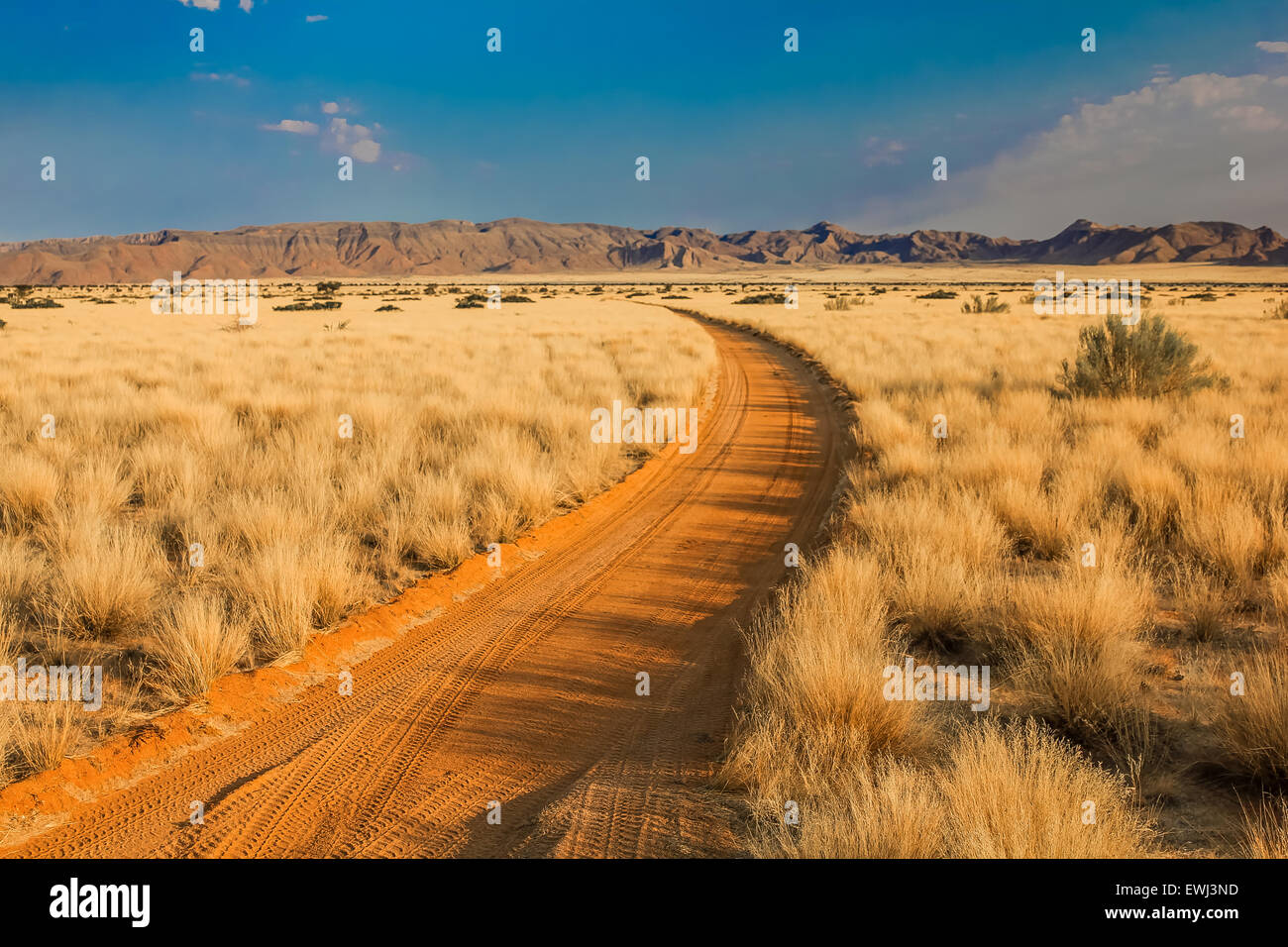 African sand road Stock Photo - Alamy