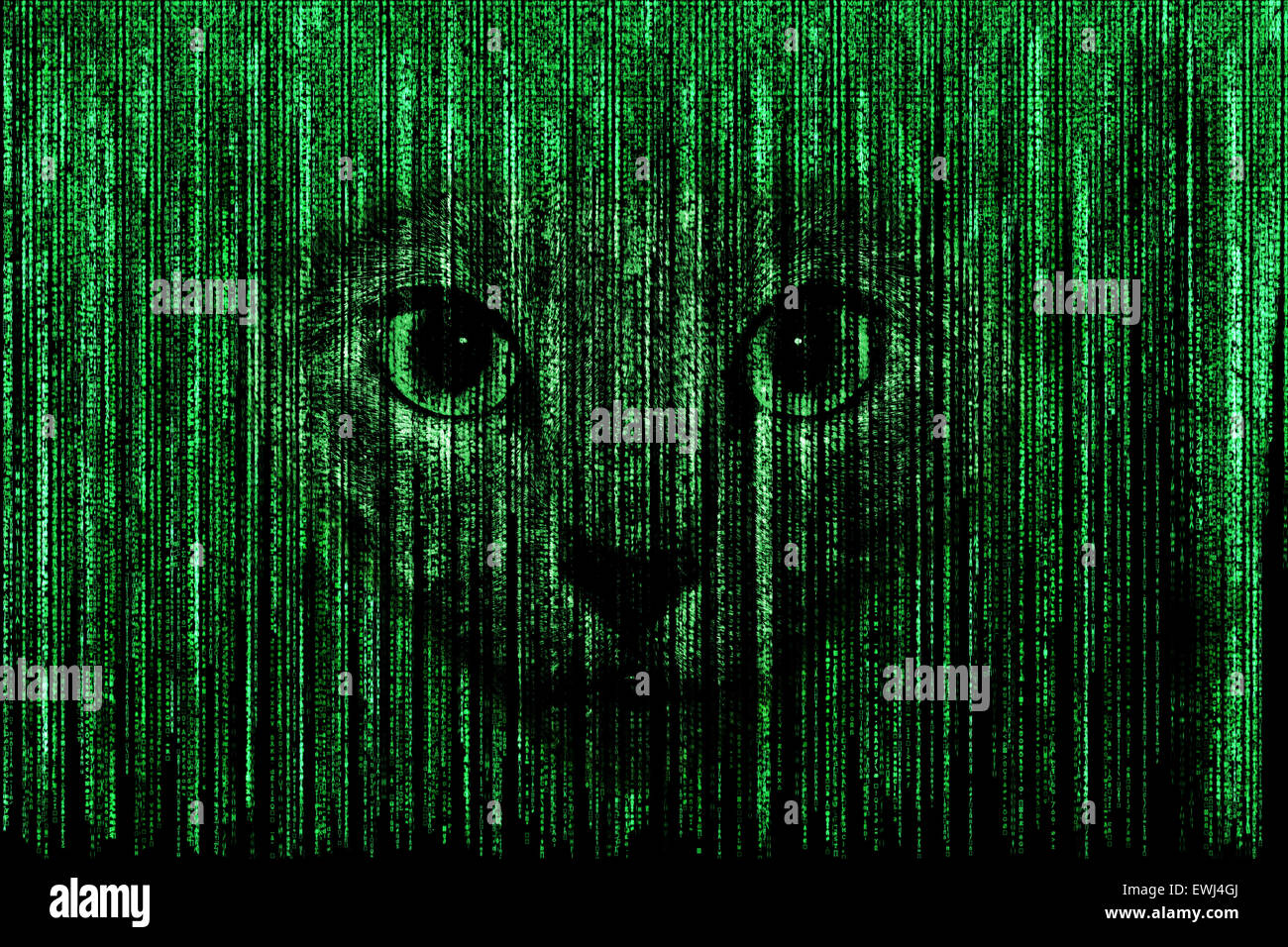 Matrix face hi-res stock photography and images - Alamy