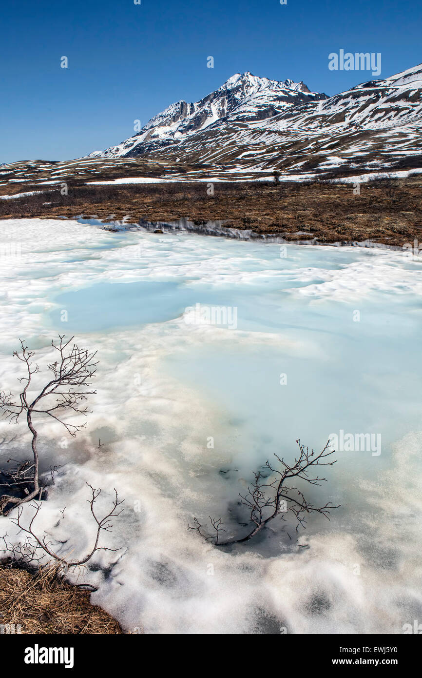 Melting snow patches in high elevation mountains in the Yukon Territory ...