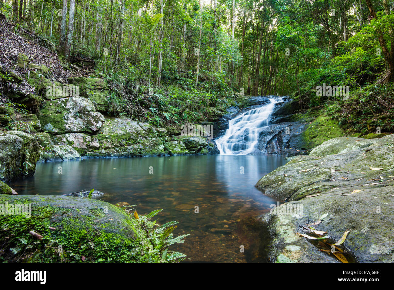 waterfall going into a rainforest rock pool Stock Photo - Alamy