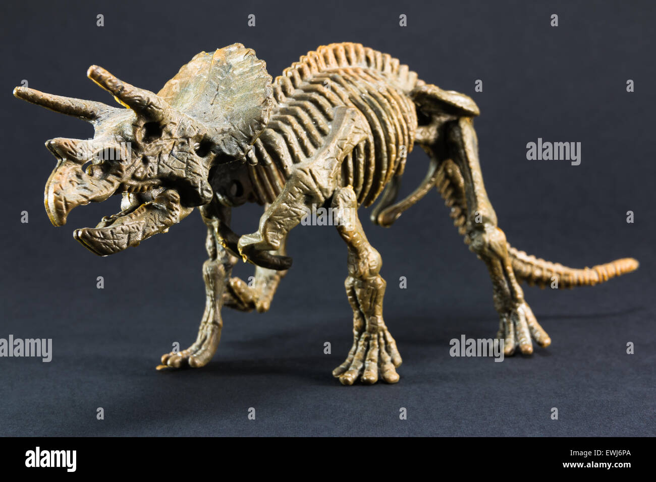 Trex skeleton hi-res stock photography and images - Alamy