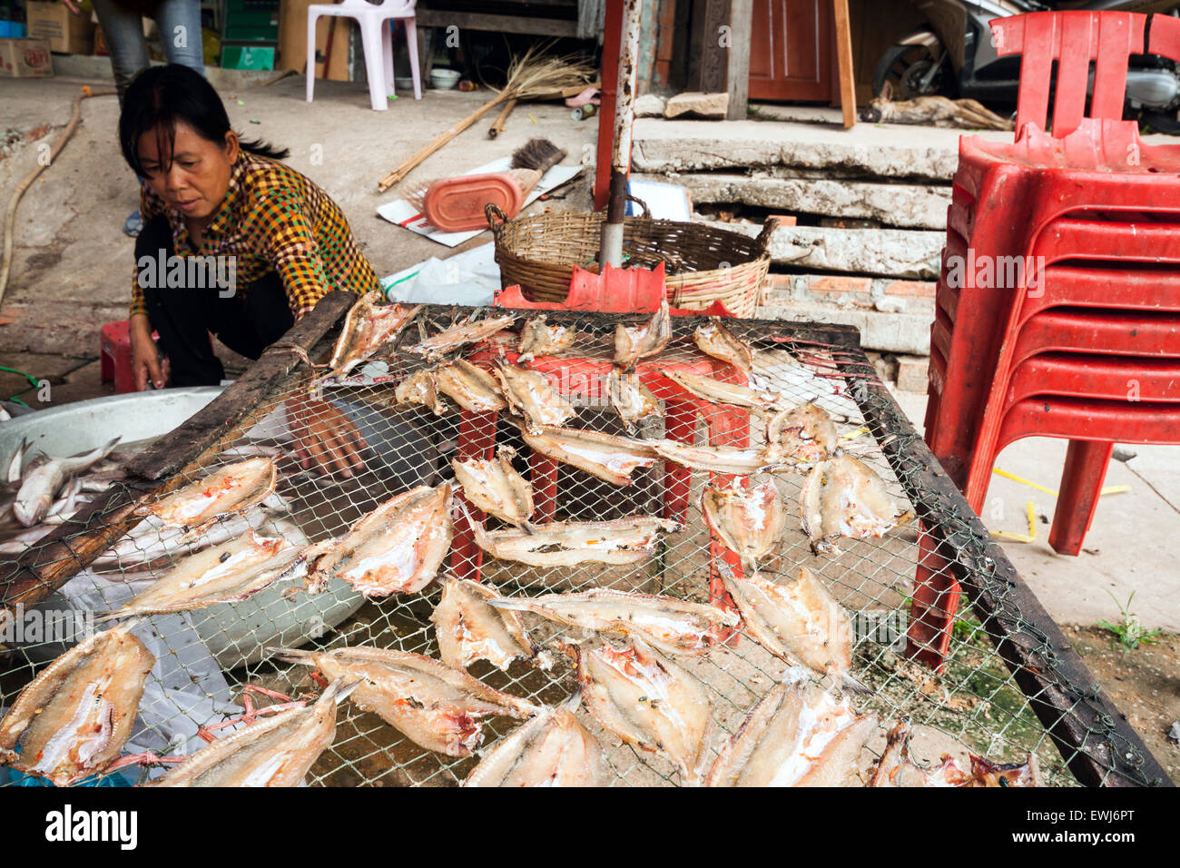 Cambodian women preparing dried fish in traditional way Stock Photo - Alamy