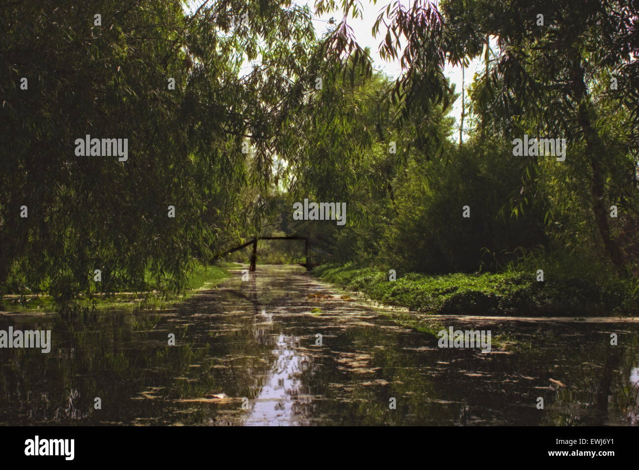 Shady river hi-res stock photography and images - Alamy
