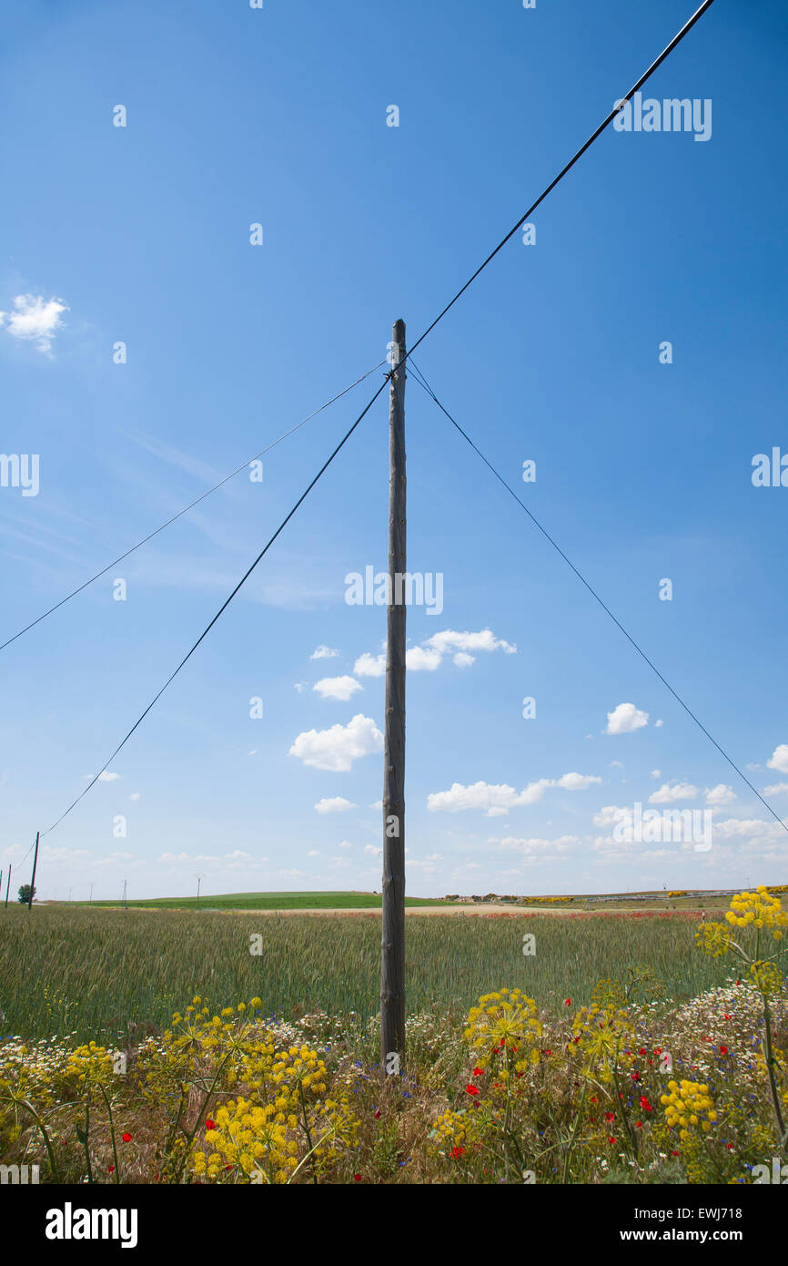 ancient telephone line cable pole in landscape field Castilla Spain ...
