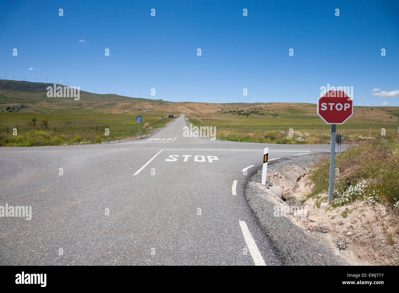 crossroad with stop symbol painted on asphalt and red hexagonal signal ...