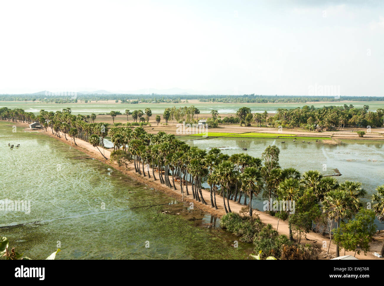 Cambodia - landscape Stock Photo - Alamy
