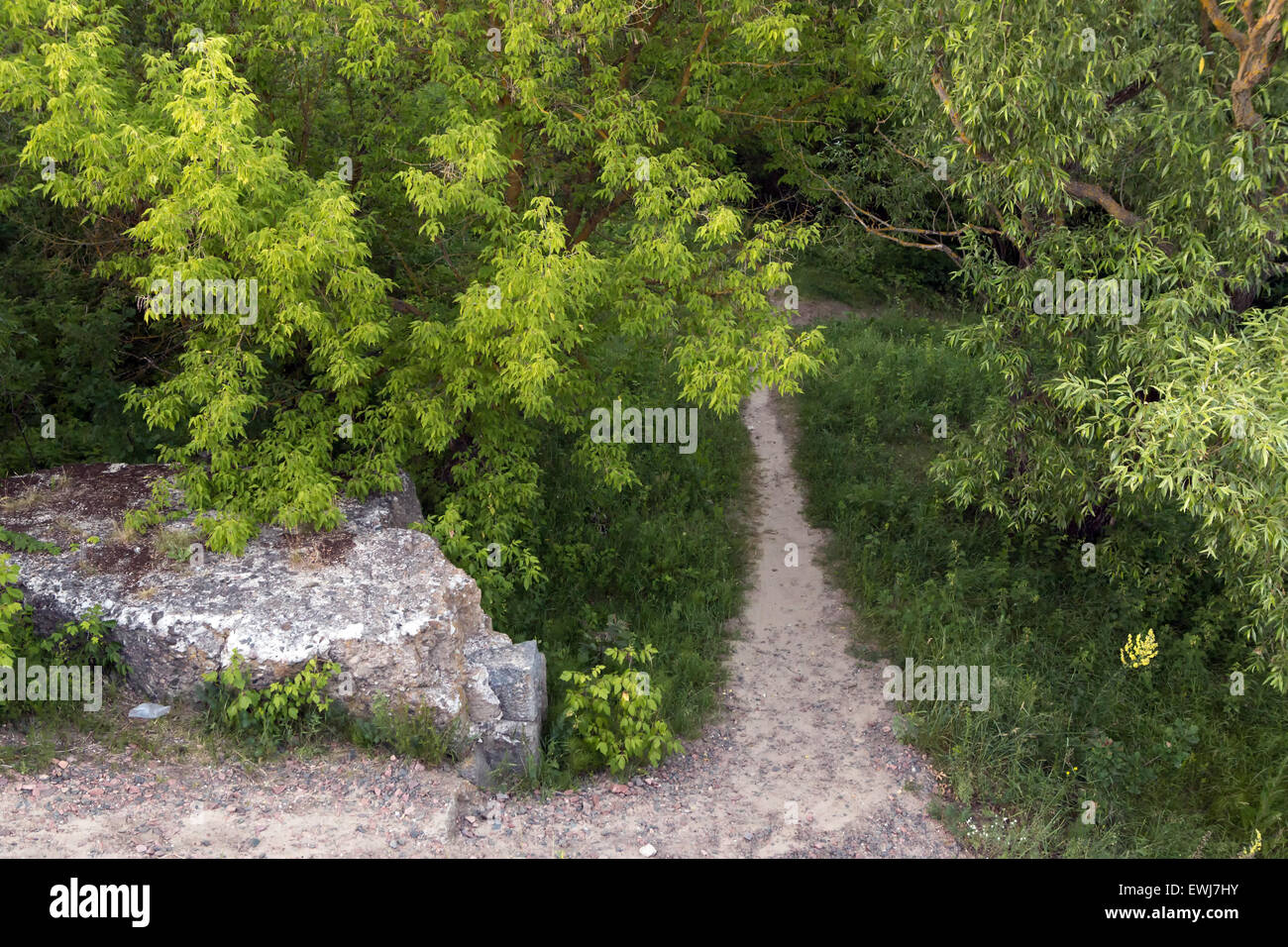 Belarus, Gomel city Stock Photo - Alamy