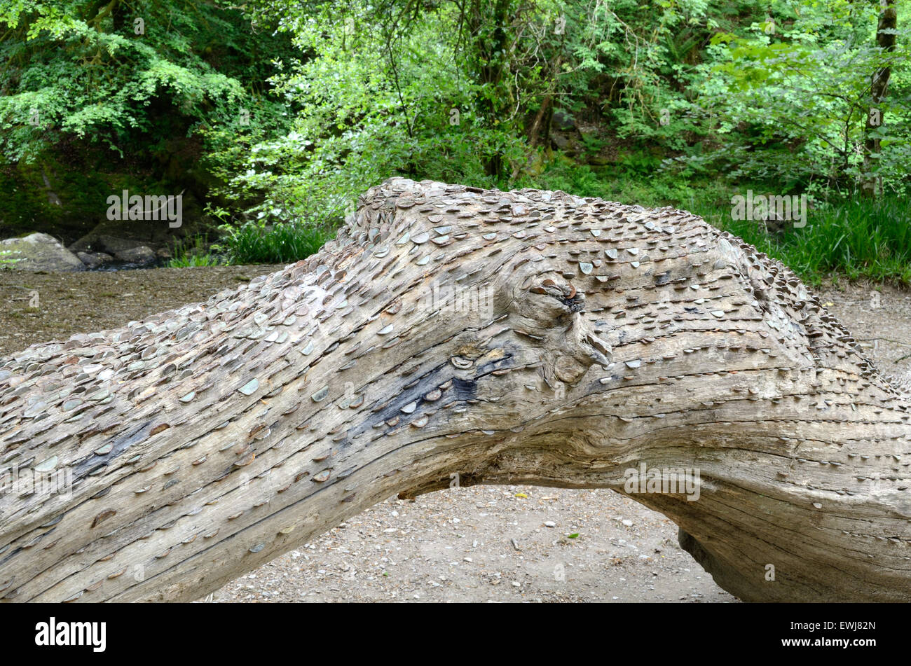 Coins in tree hi-res stock photography and images - Alamy