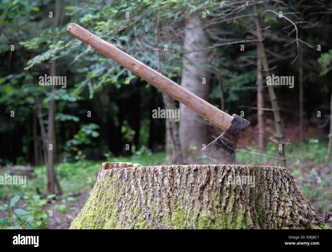 ax carved in stump in forest Stock Photo - Alamy