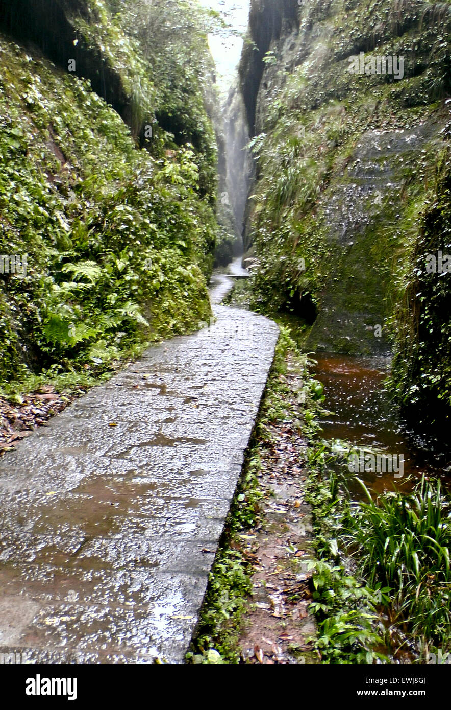 Deep Gorge Stock Photos & Deep Gorge Stock Images - Alamy