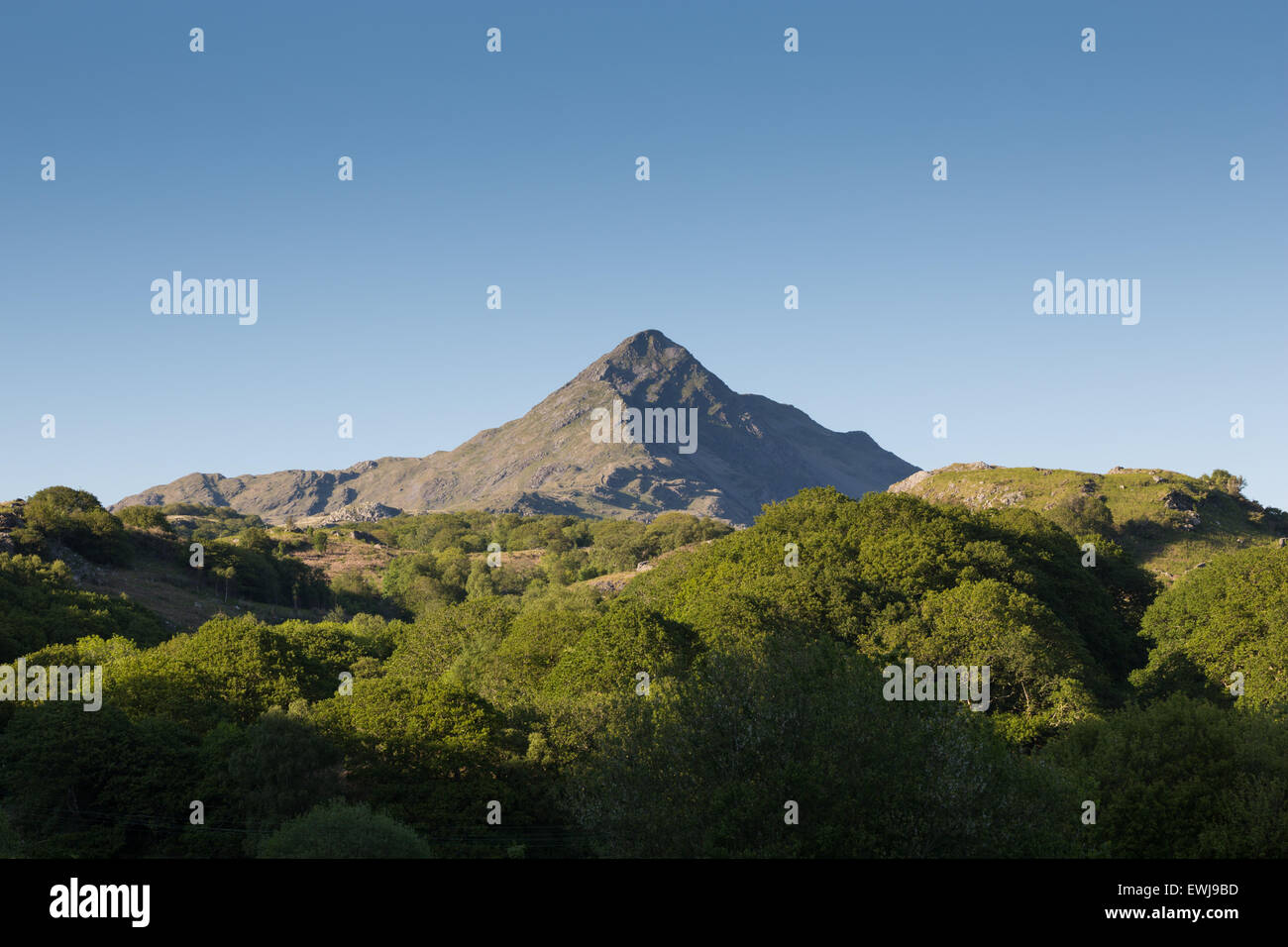 Cnicht hi-res stock photography and images - Alamy