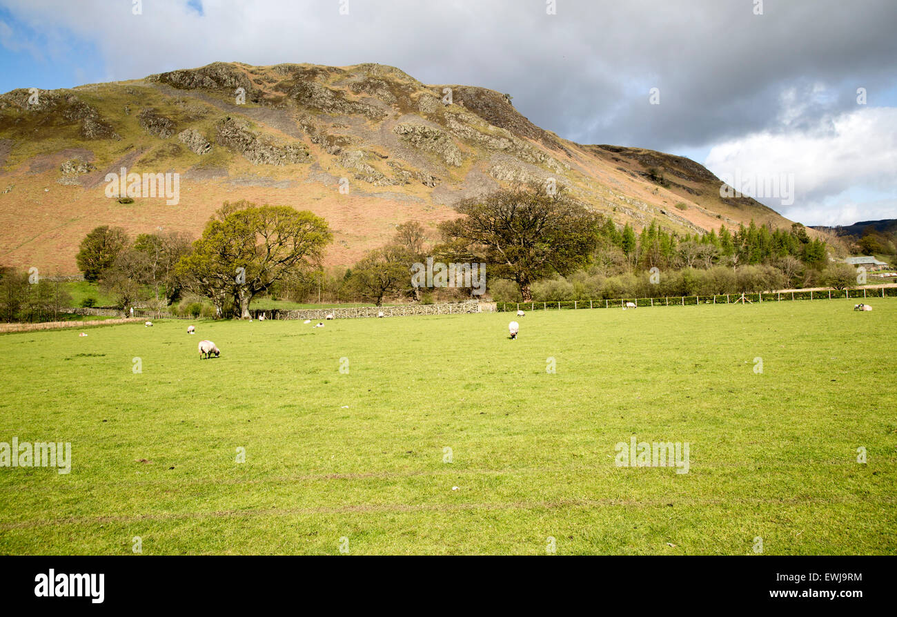 Hallin Fell, Howtown, Ullswater, Lake District national park, Cumbria ...