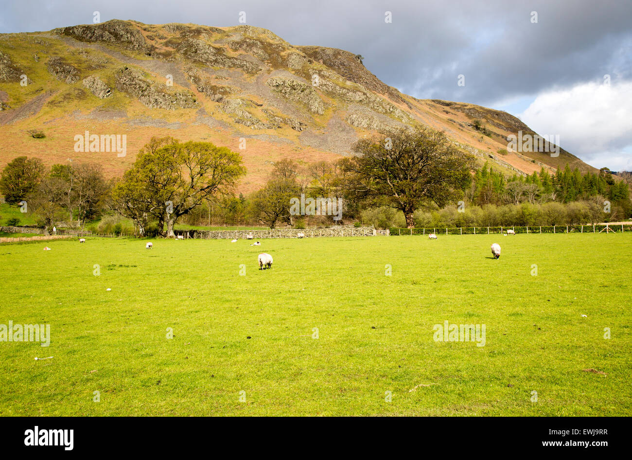 Hallin Fell, Howtown, Ullswater, Lake District national park, Cumbria ...