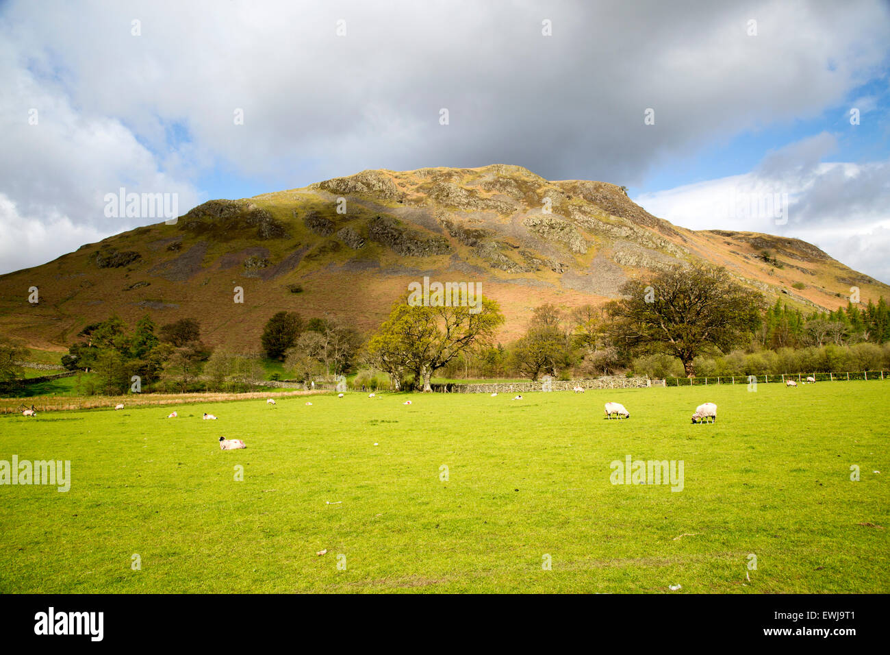 Hallin Fell, Howtown, Ullswater, Lake District national park, Cumbria ...