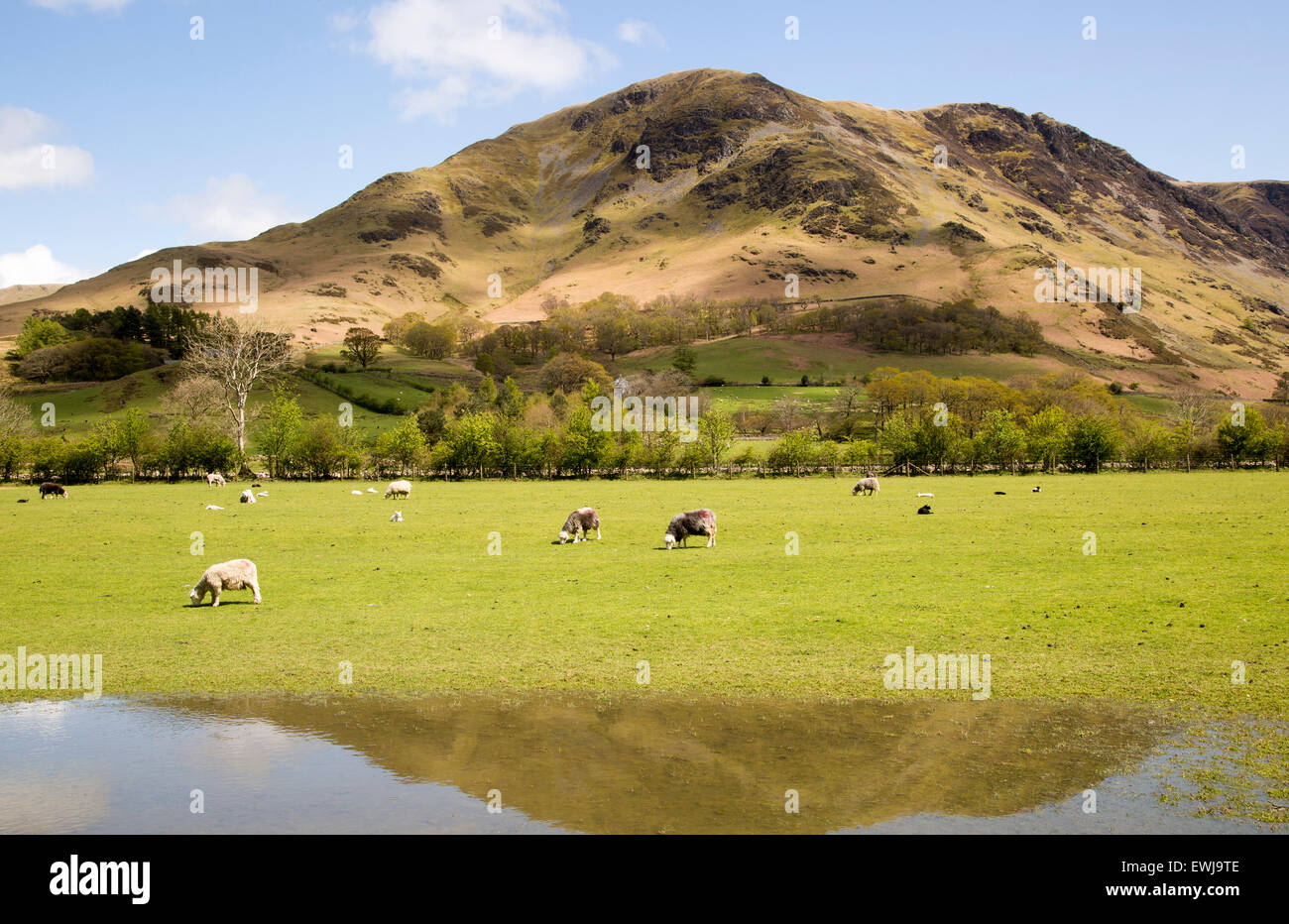 Landscape view of High Snockrigg Fell hill and flooded field ...