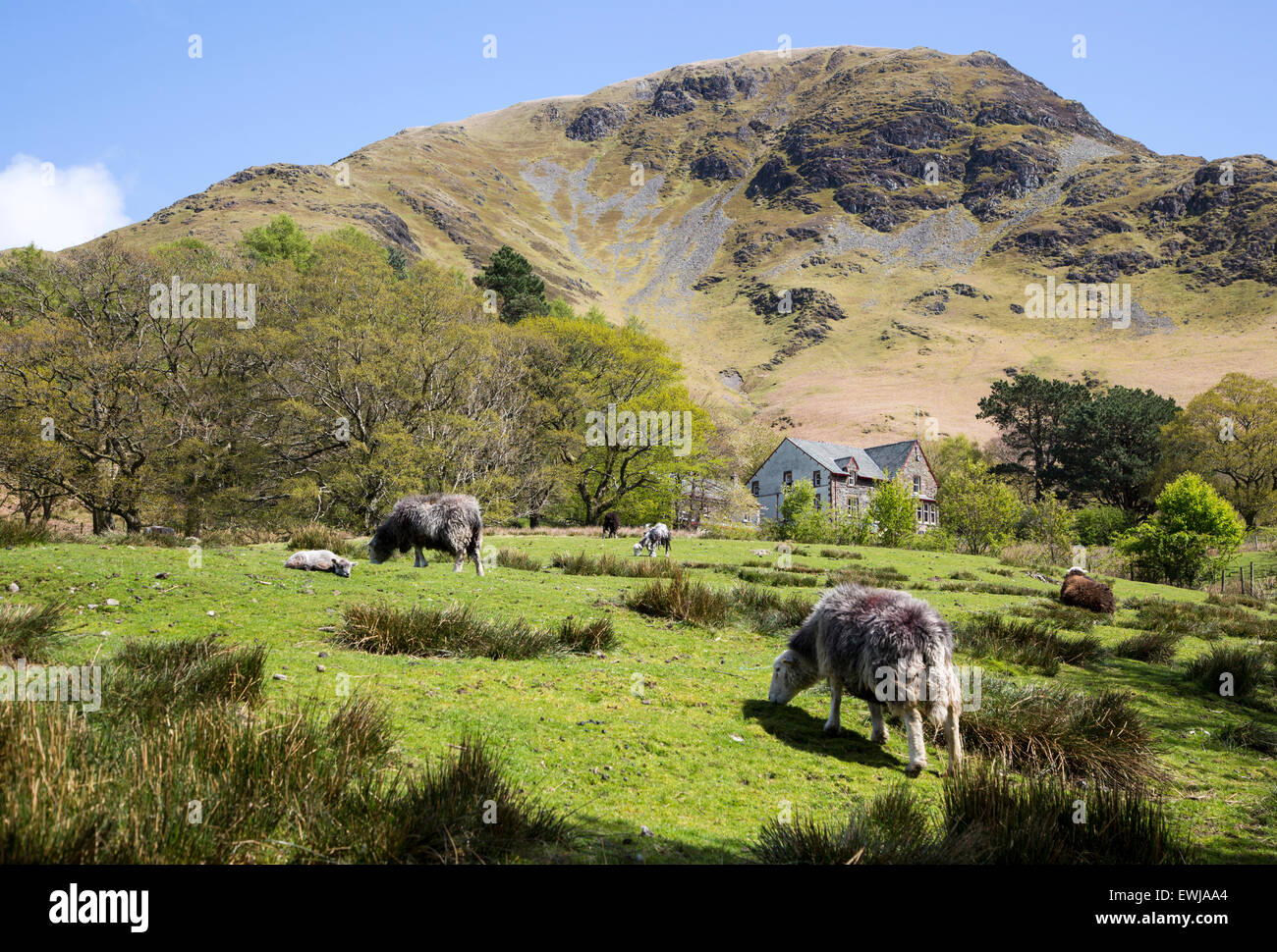 High Snockrigg Fell hill, Buttermere, Lake District national park ...