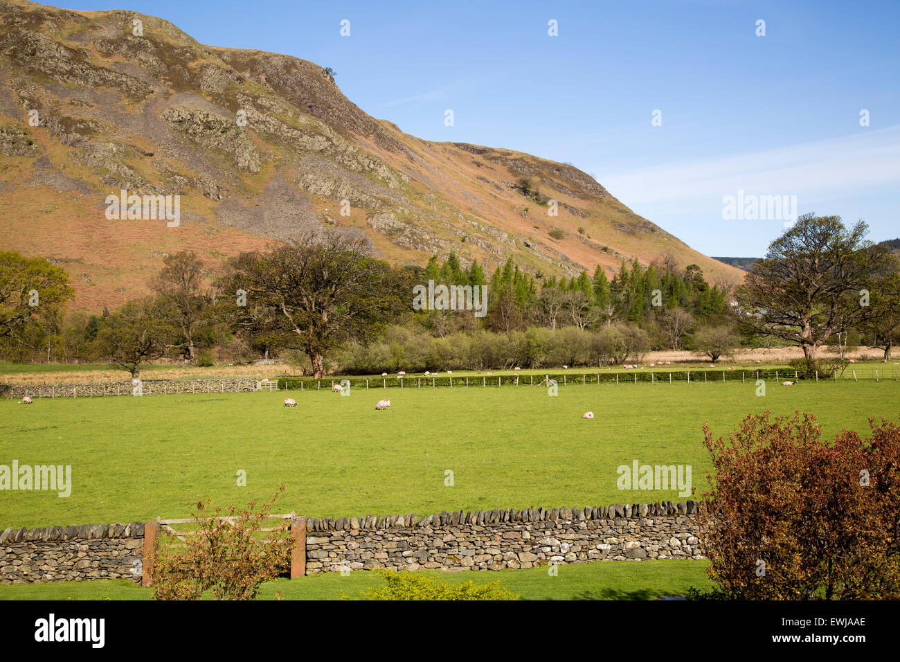Hallin Fell, Howtown, Ullswater, Lake District national park, Cumbria ...