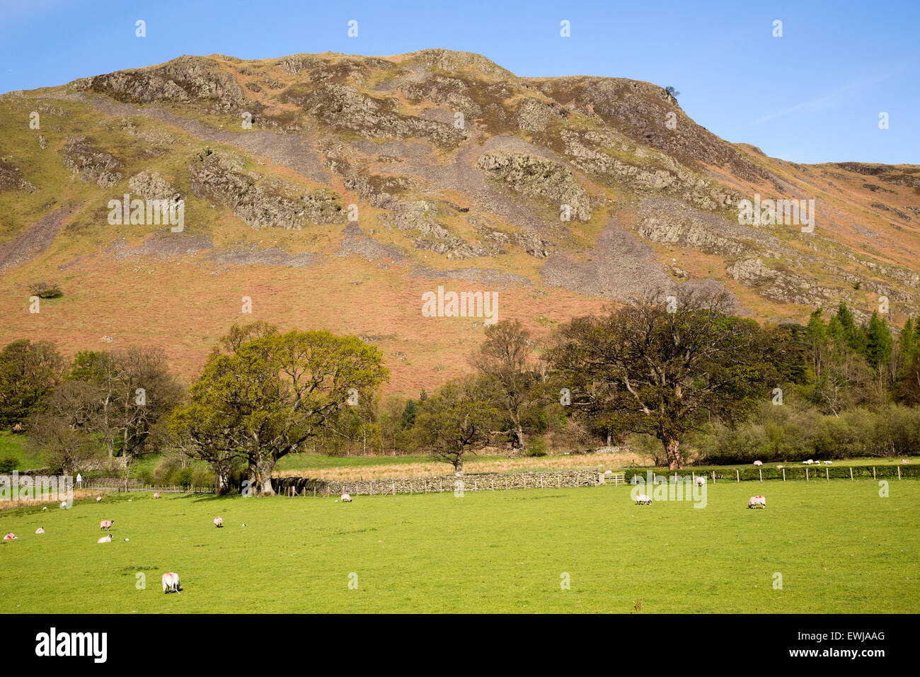 Hallin Fell, Howtown, Ullswater, Lake District national park, Cumbria ...