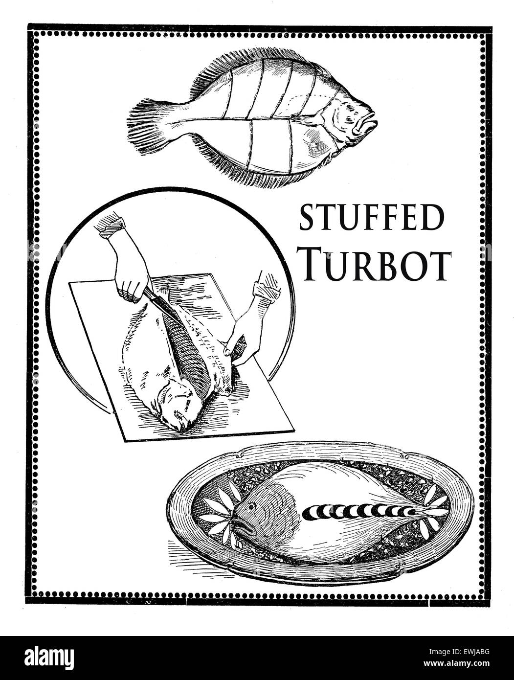 Collection of engraving describing how to cut turbot fish, to prepare ...