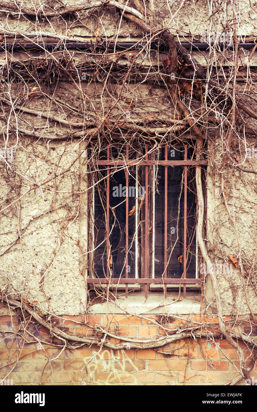 Broken window detail hi-res stock photography and images - Alamy