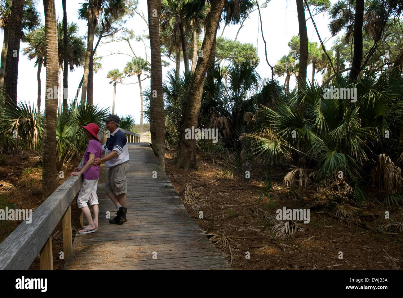 Caucasian Couple Viewing Flora Hunting Island South Carolina USA Stock ...