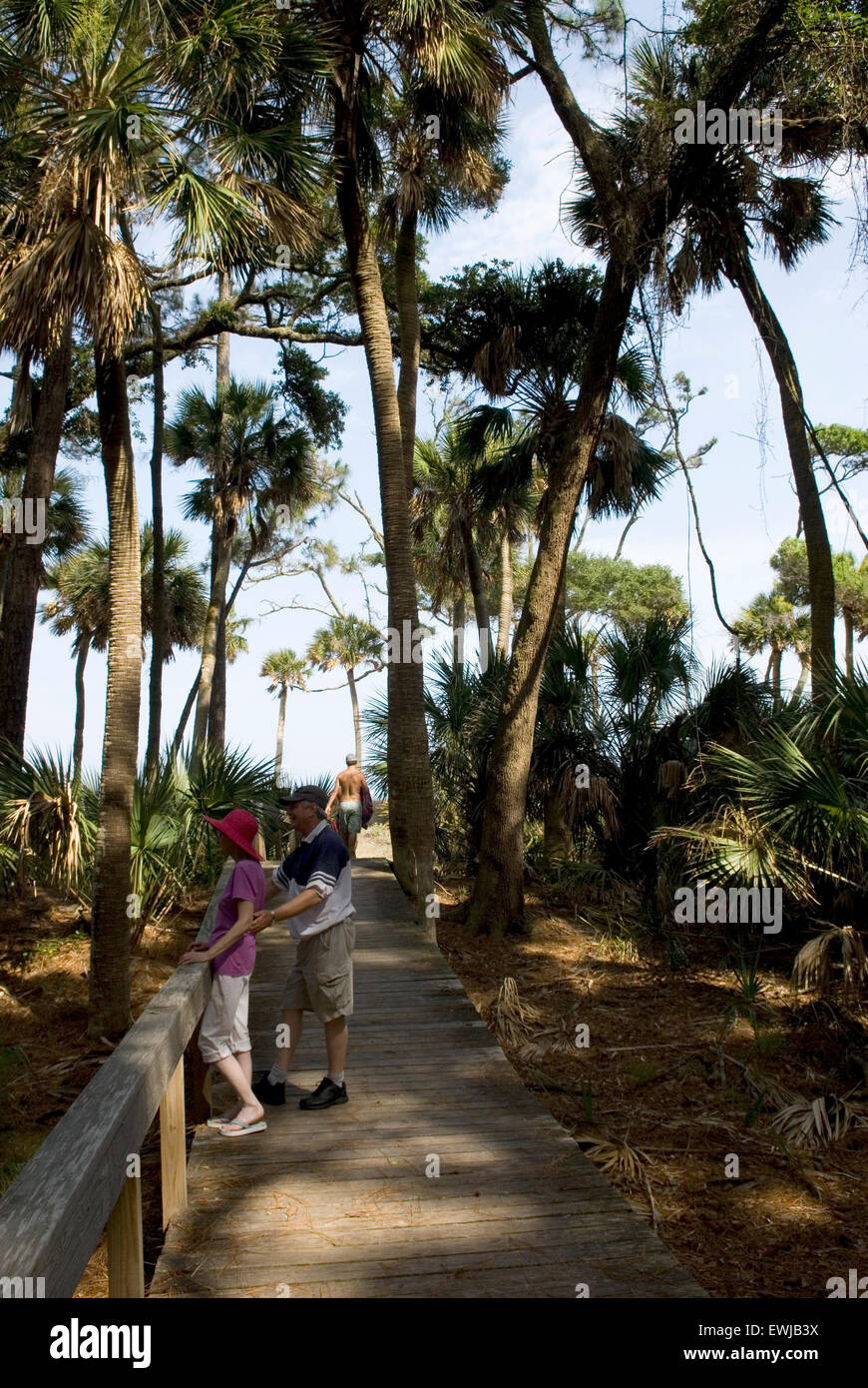 Caucasian Couple Viewing Flora Hunting Island South Carolina USA Stock ...