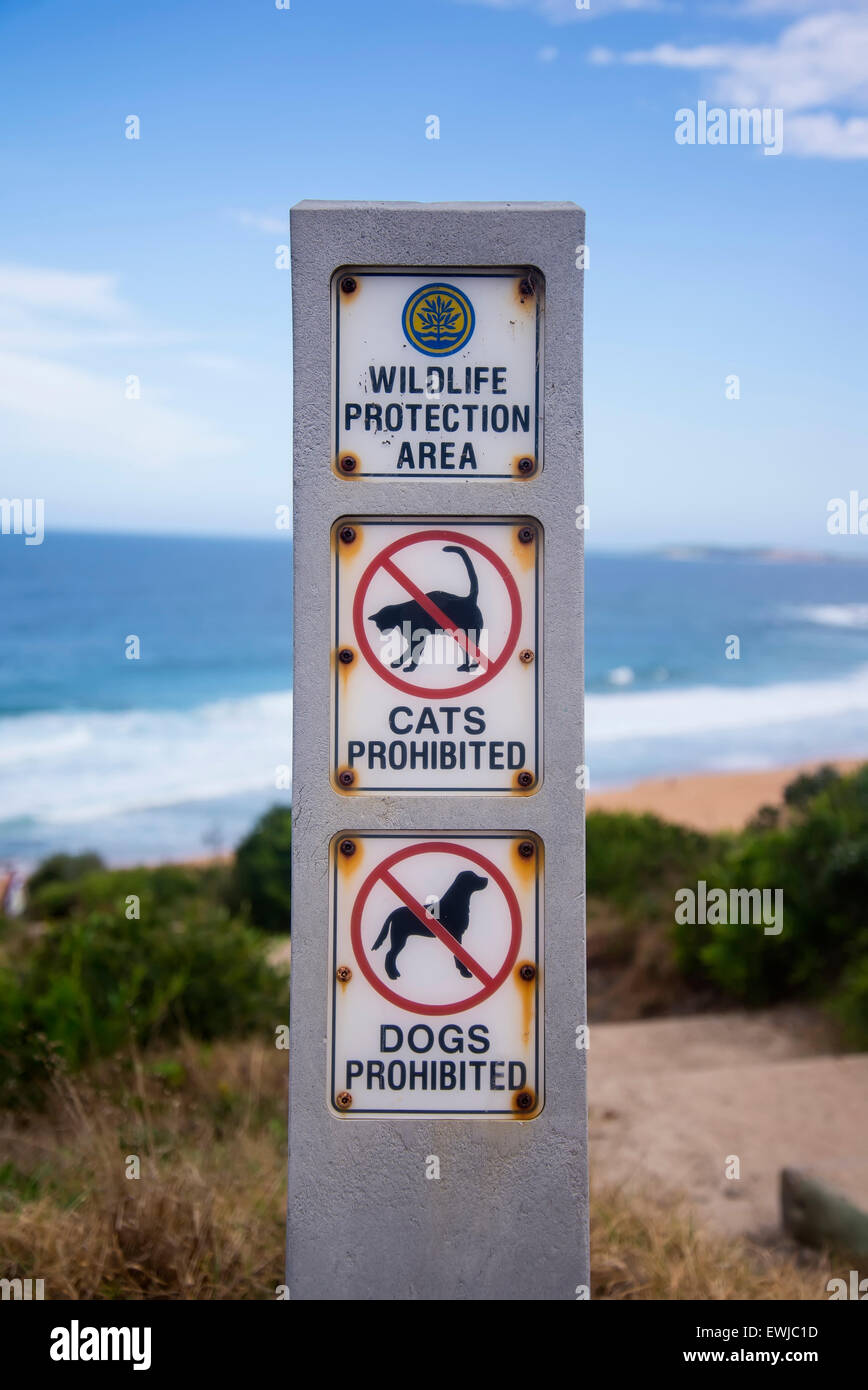 Detail of the Turimetta beach in Australia Stock Photo - Alamy
