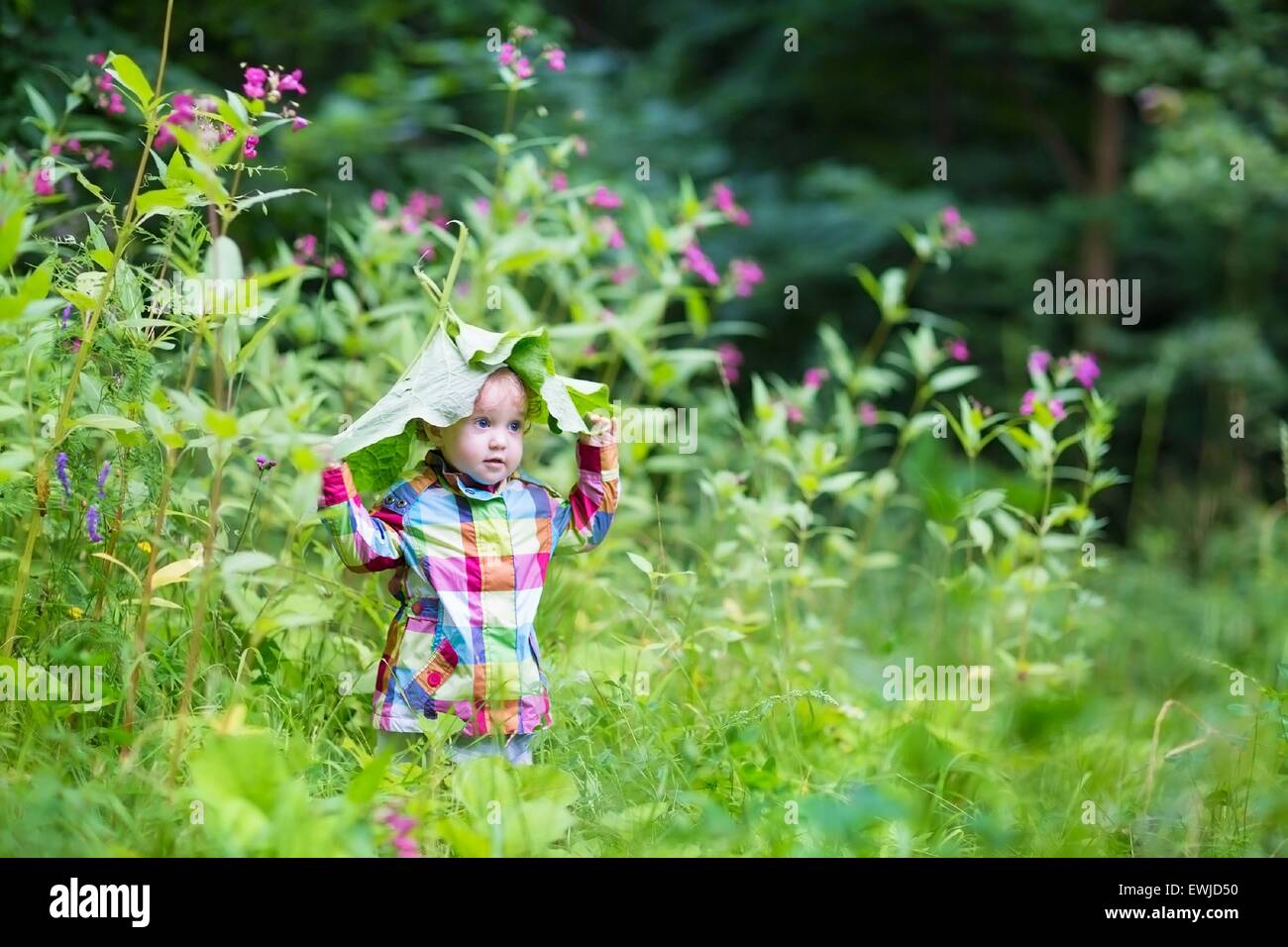 Funny baby girl playing peek a boo in a park under huge leaves Stock ...